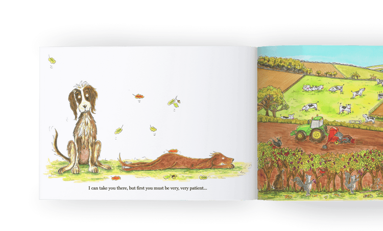 Gina Rees | Author and Illustrator