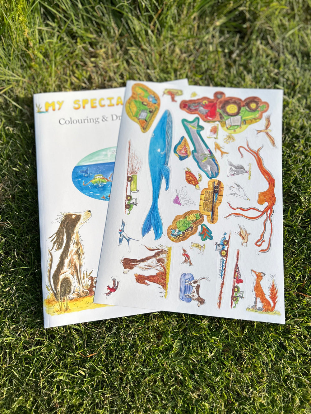 Gina Rees | Author and Illustrator