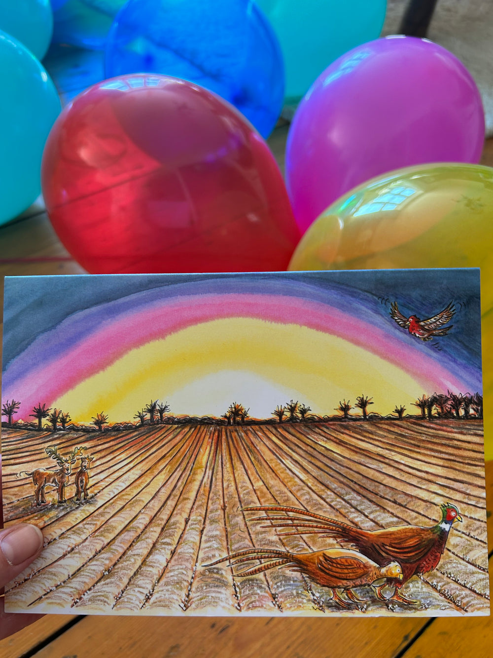 Gina Rees | Author and Illustrator